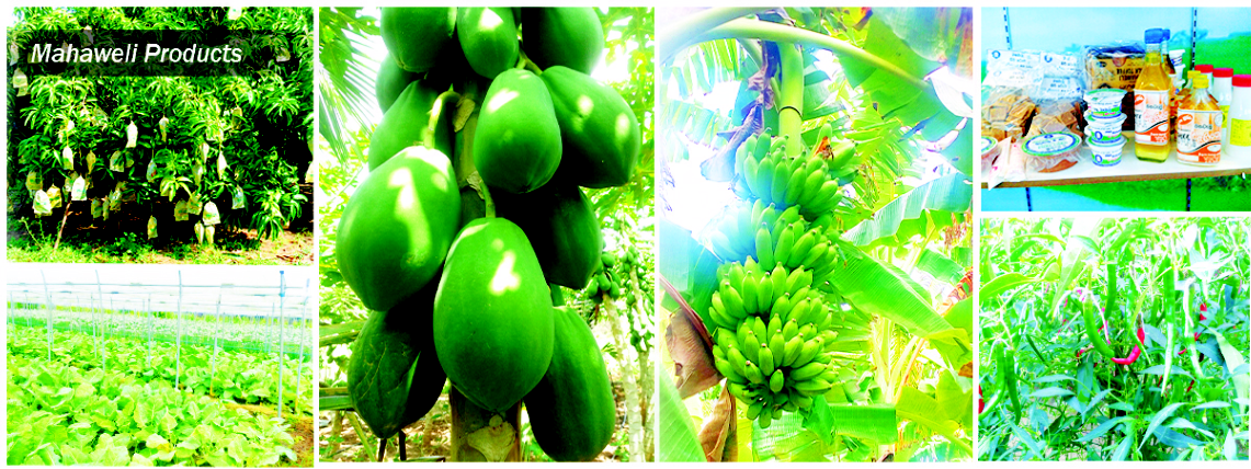 Mahaweli Authority of Sri Lanka