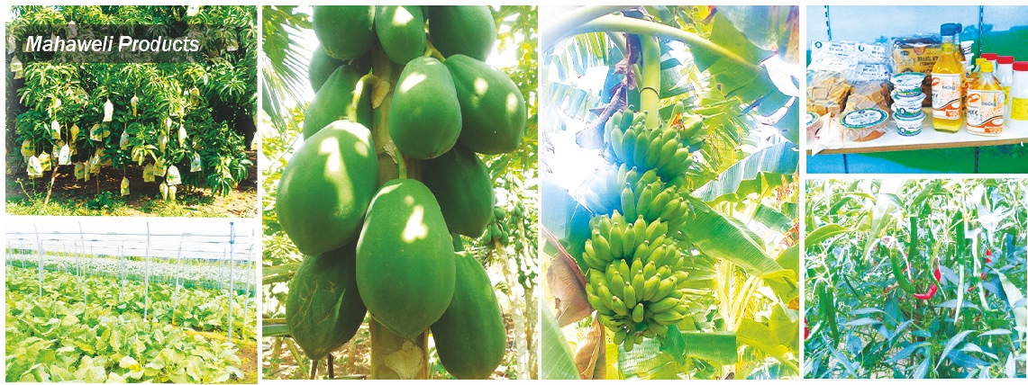 Mahaweli Authority of Sri Lanka